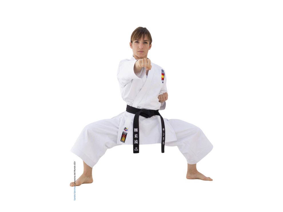 1158 Daedo Karategi KATA COMPETITION PRO BUNKAI – Kiai.mx